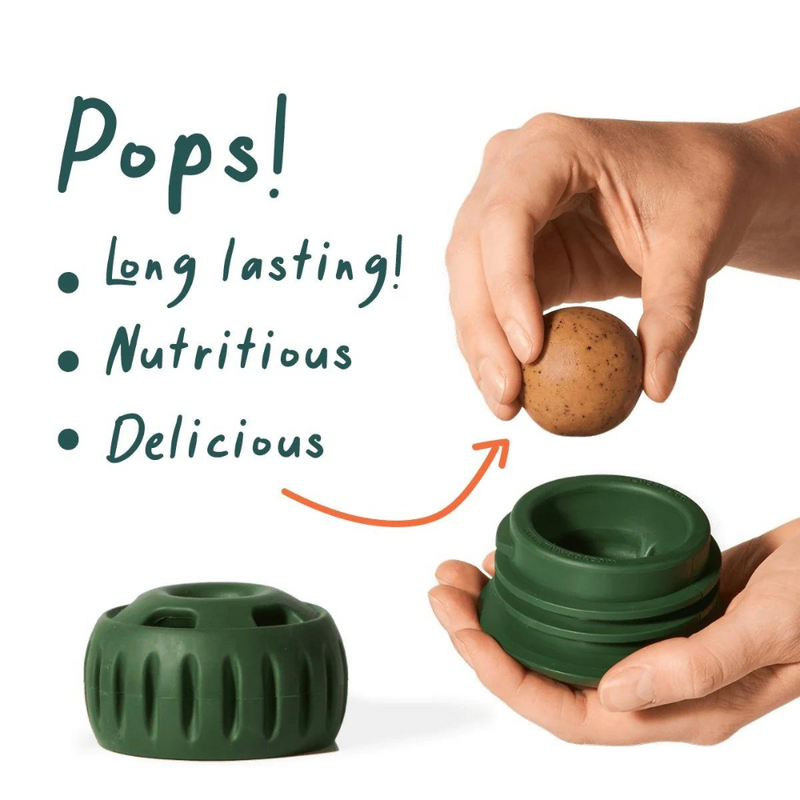 Pupsicle - It's a Dogs Favorite Dog Toy!-U.N.I.Q.U.E Inc AUSTRALIA